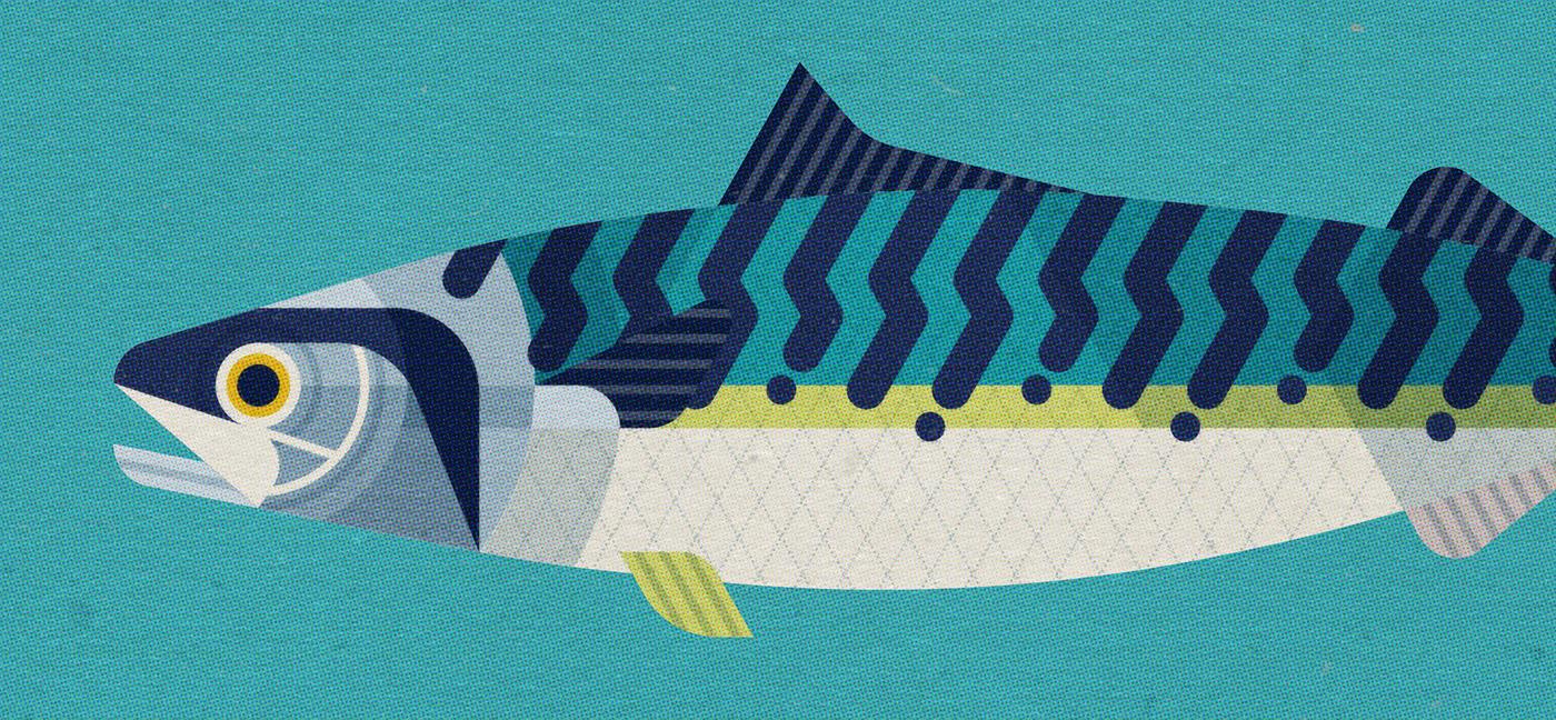 Neptune Fish: Fictional Branding by Bart De Keyzer