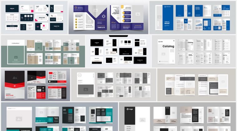 Vector Graphics — Brochure & Catalog Templates