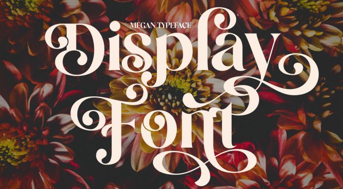 Megan Display Font by Sansakerta