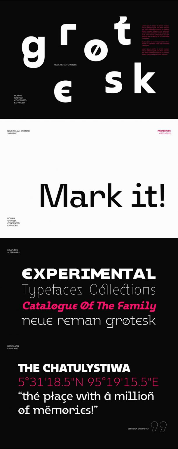 Neue Reman Grotesk Font Family by Propertype