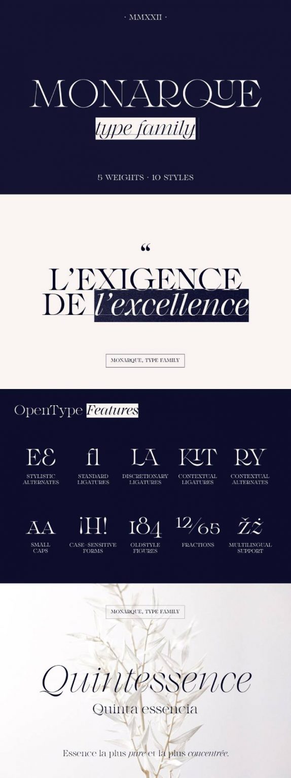 Monarque Font Family by The Paper Town