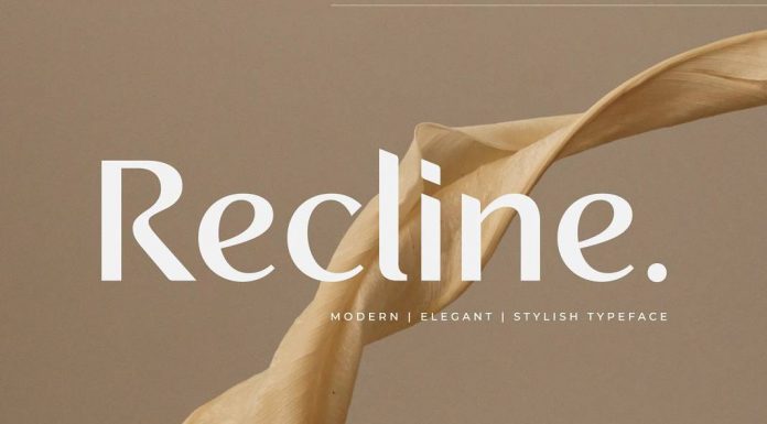 Recline Font Family by Digitype Studio