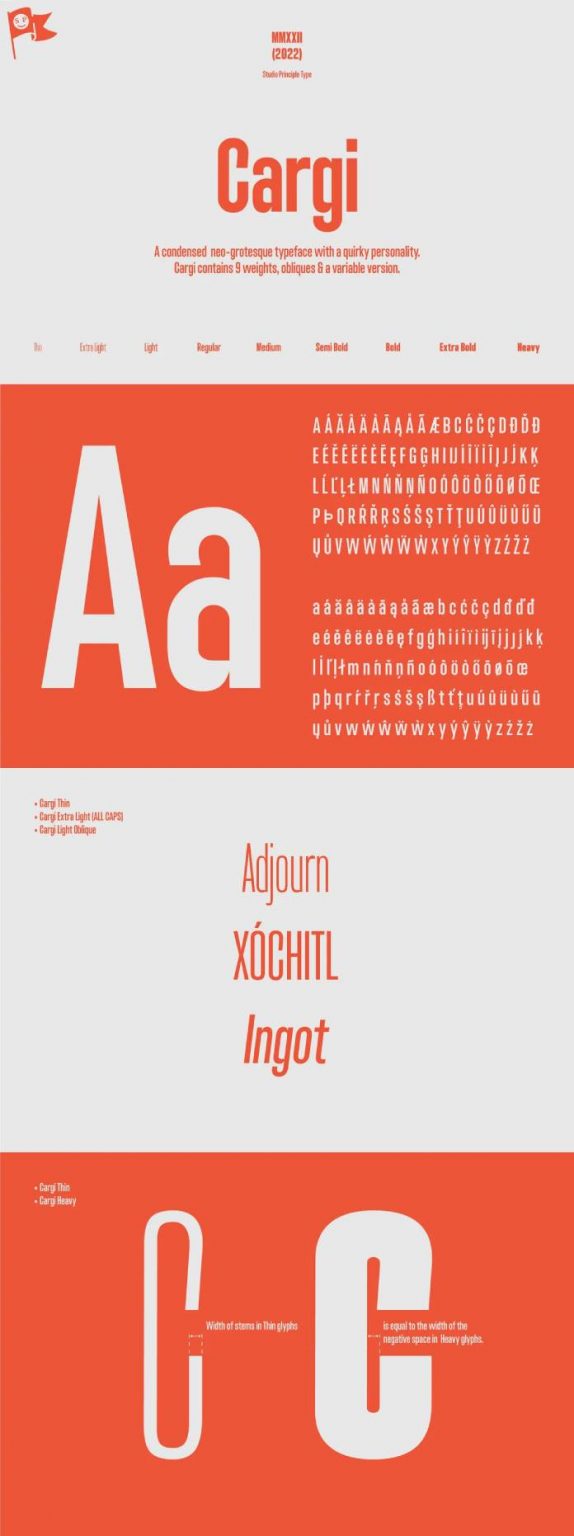 Cargi Font Family by Studio Principle Type