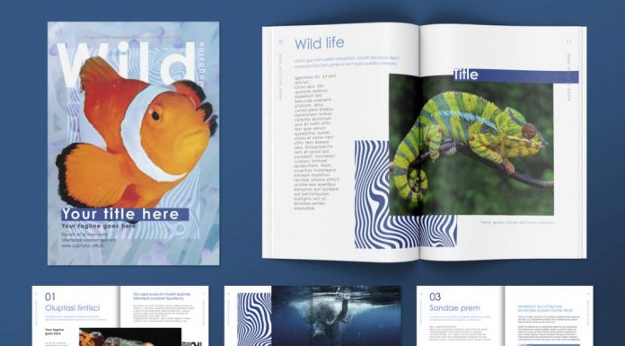 A Clean, Easy-to-Use Magazine Template for Adobe InDesign