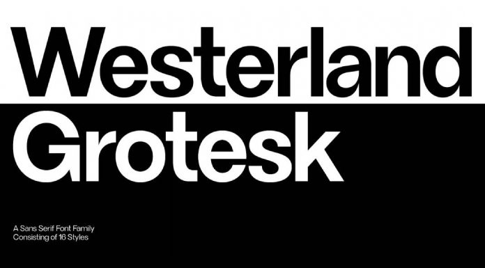 Westerland Grotesk Font Family by SG Type