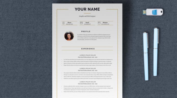 Elevate Your Professional Story with a Modern Resume Template