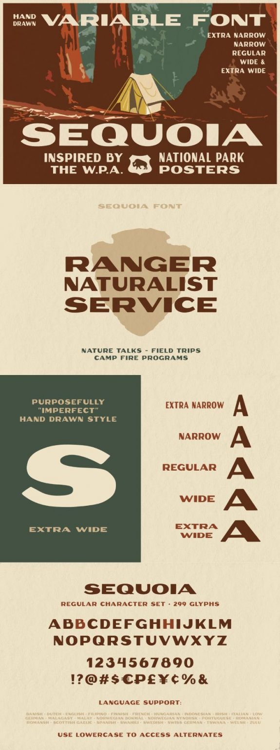Sequoia Display Font Family by Rachel Kick